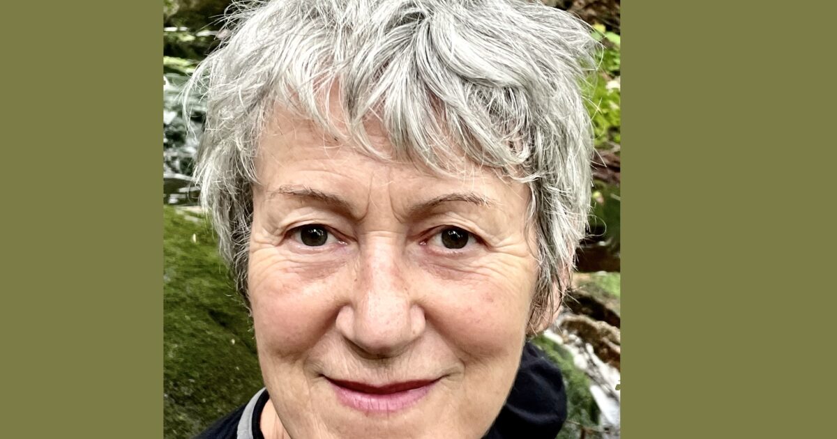 Lab INIT Robots | Danielle Lecourtois