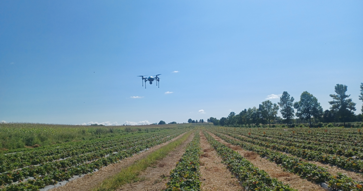 Lab INIT Robots | Self-deployable outdoors robot teams